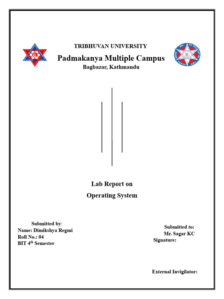 Lab Work HTML | Download Free PDF | Html | Java Script