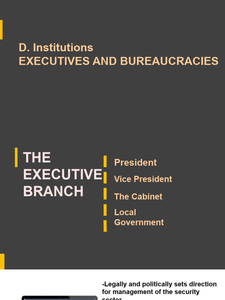 Understanding Executive Bureaucracy | PDF | Bureaucracy | Government