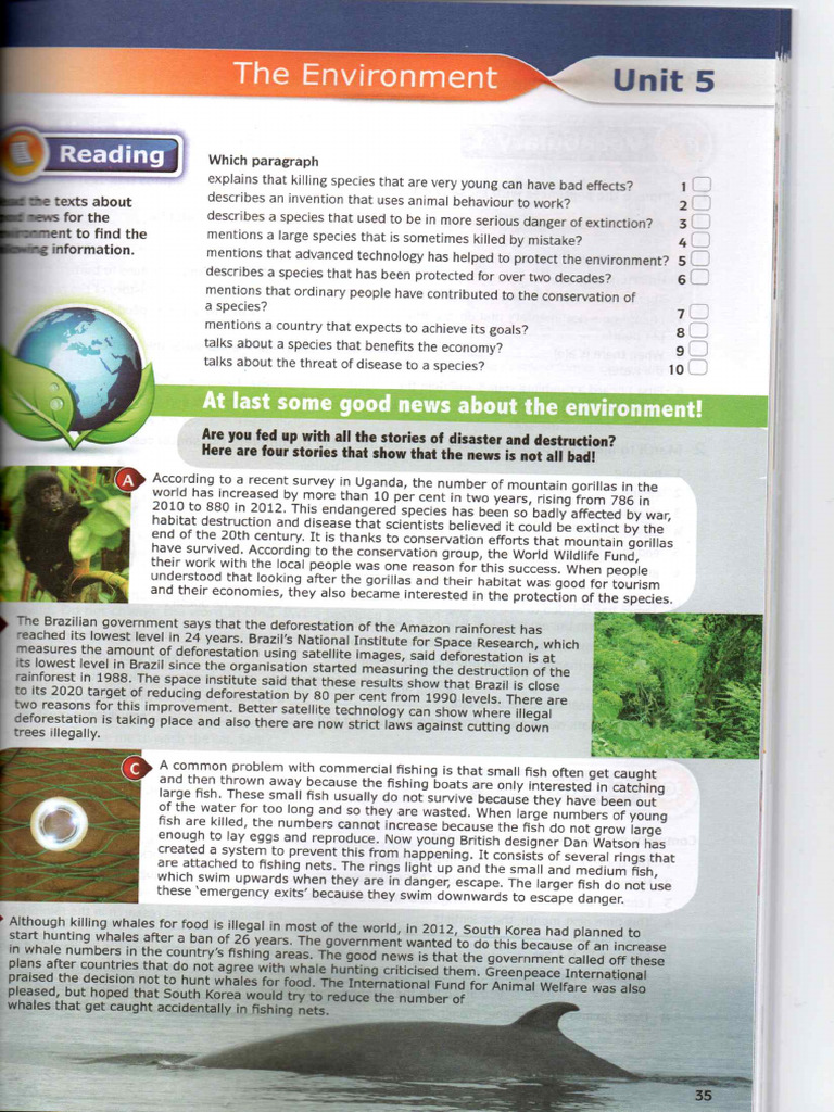 Workbook F5 Unit 5 | PDF