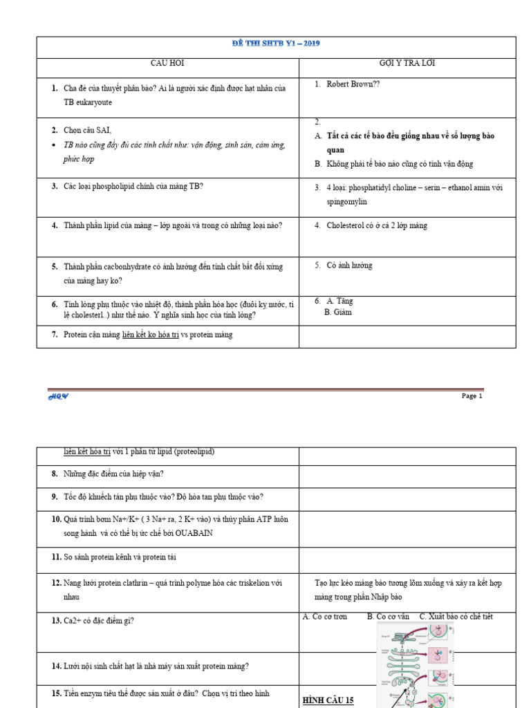 Đề Thi Y 2019 | PDF