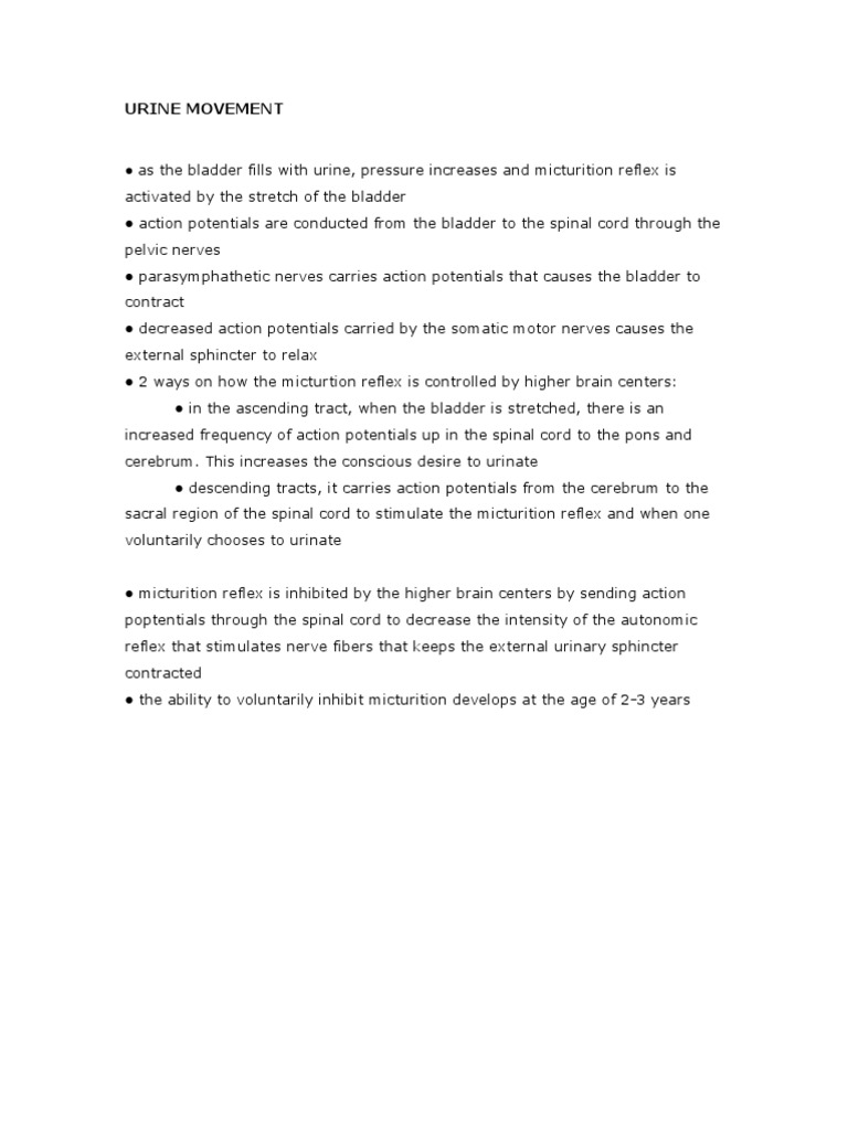 Urine Movement | Download Free PDF | Urination | Animal Anatomy