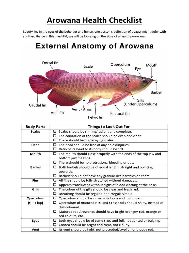 Arowana Health Checklist Guide | PDF