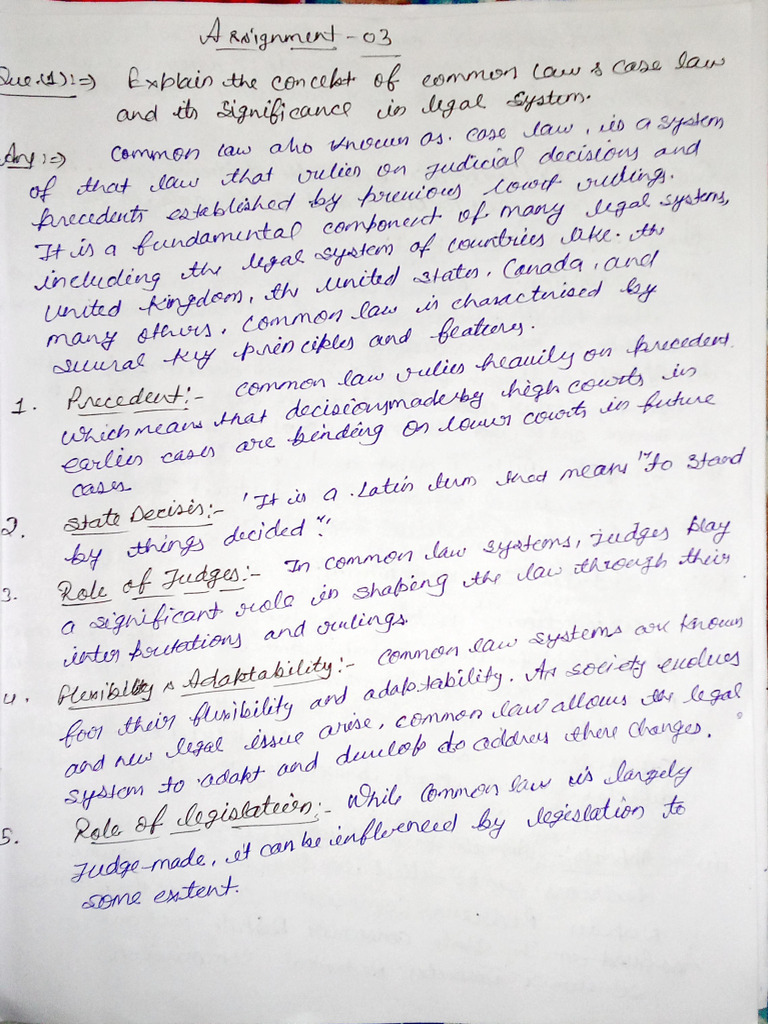 Constitution Assignment Unit 3,4 | PDF