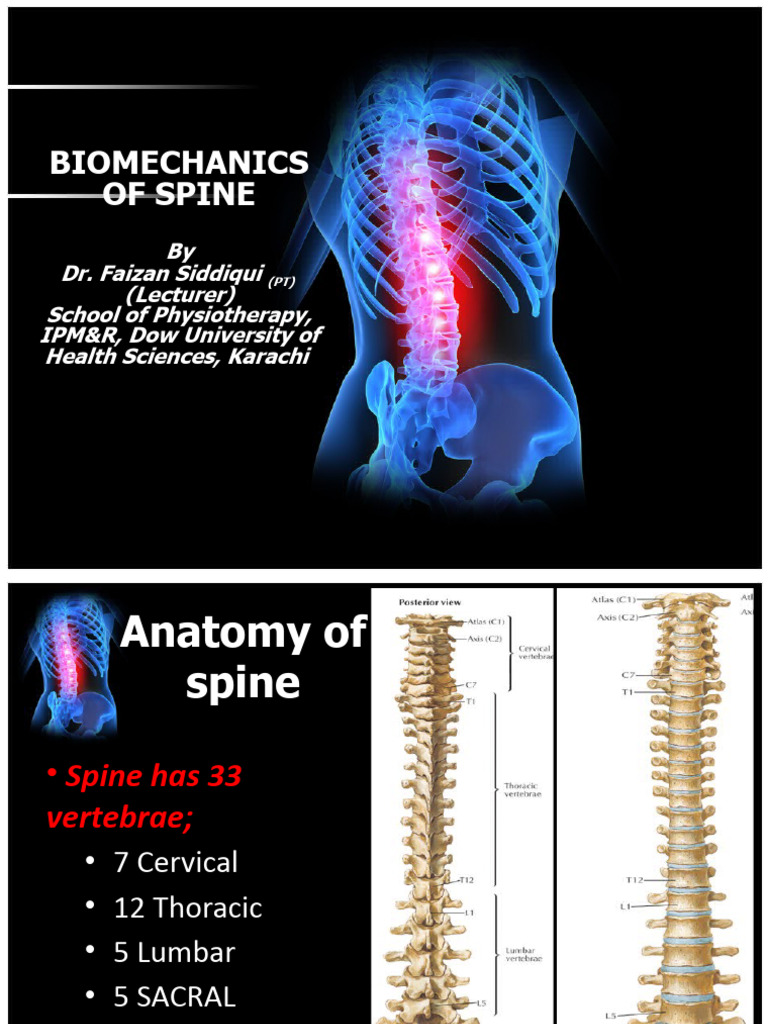 Cervical Spine Biomechanics Overview | PDF | Vertebra | Vertebral Column