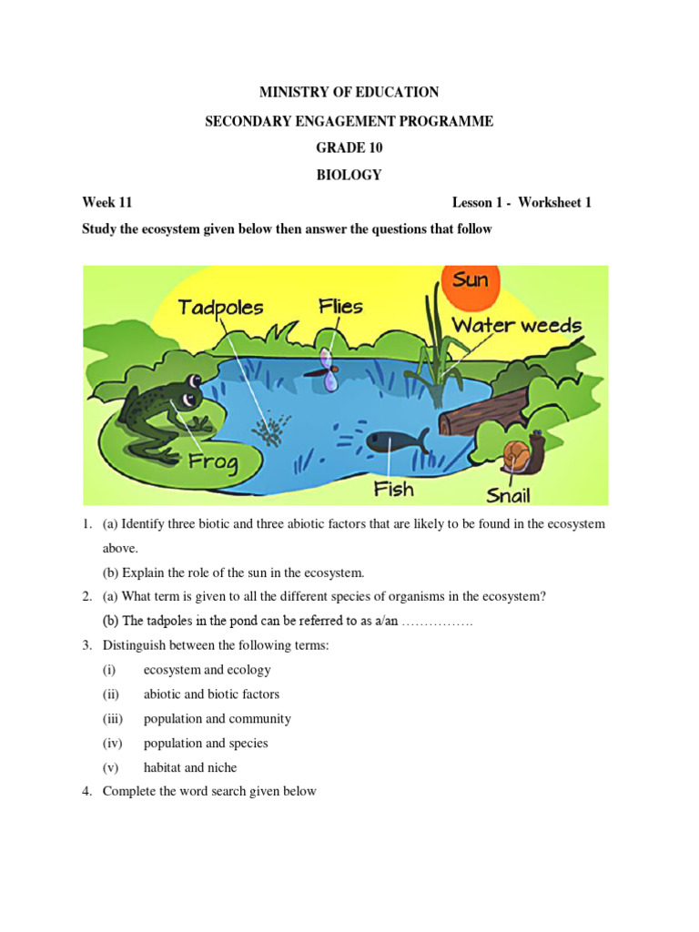 Grade_10_Integrated_Science_Week_11_Lesson_1__Worksheets_1_and ...