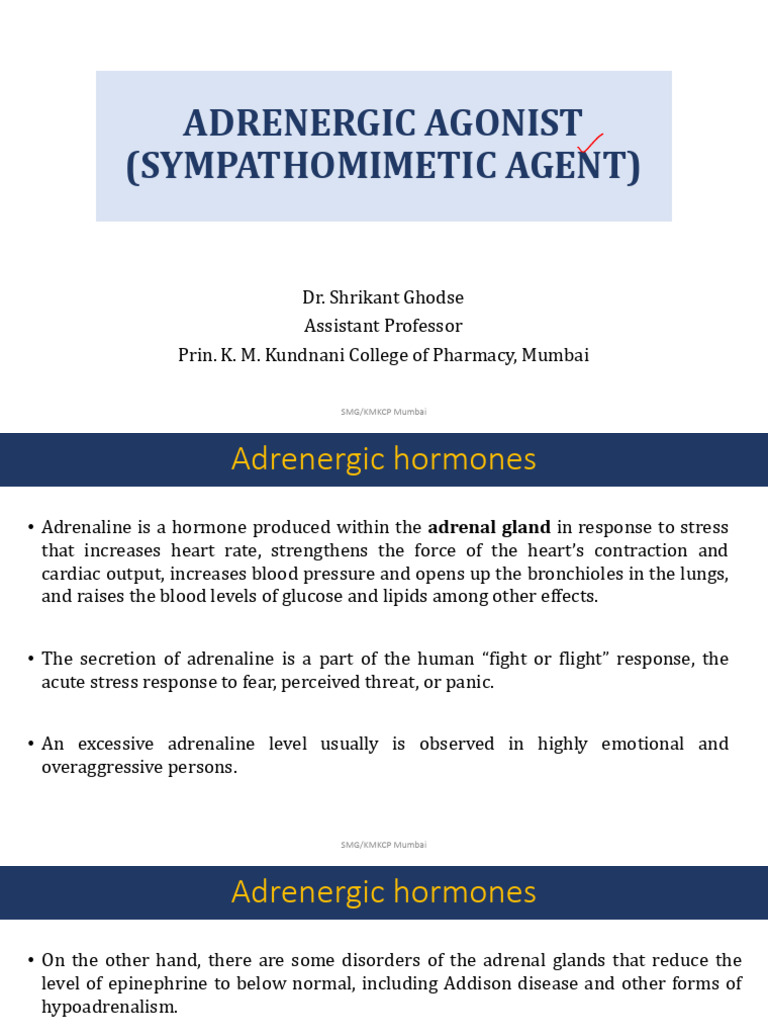 Adrenergic Agonist | PDF | Norepinephrine | Drugs Acting On The Nervous System