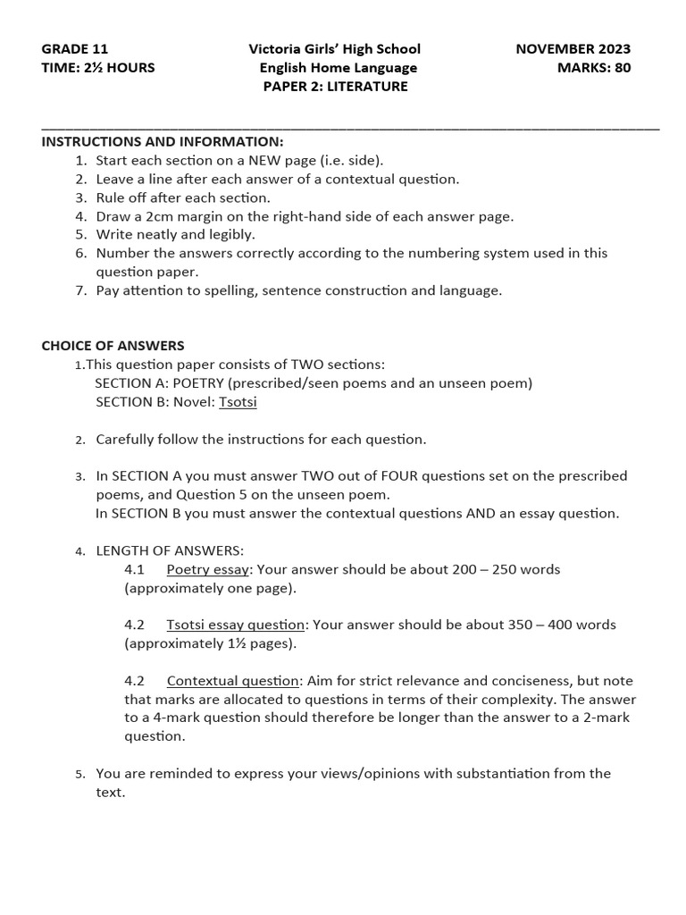 Grade 11 English Paper 2: Tsotsi Focus | PDF