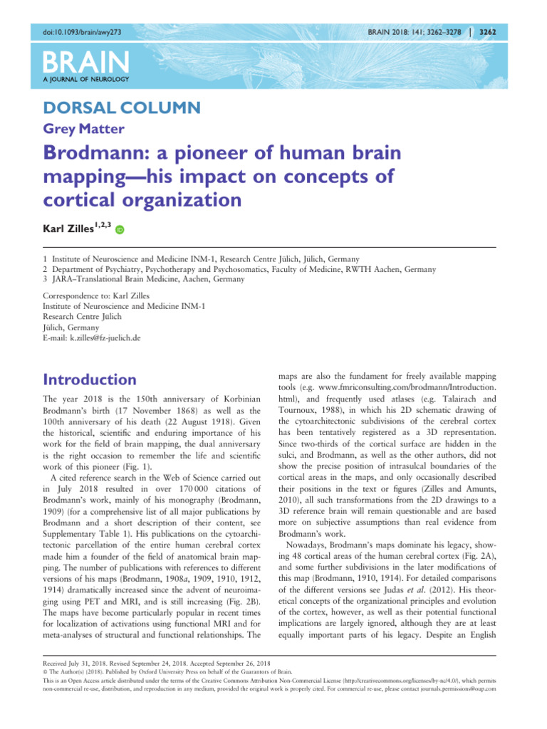 Brodmann A Pioneer of Human Brain Mapping-His Impa | PDF | Cerebral ...