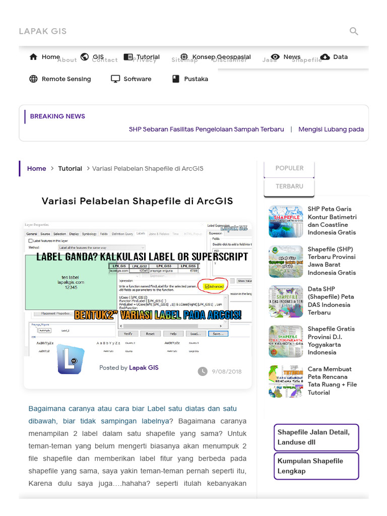 Label Expression Di ArcGIS - Lapak GIS | PDF