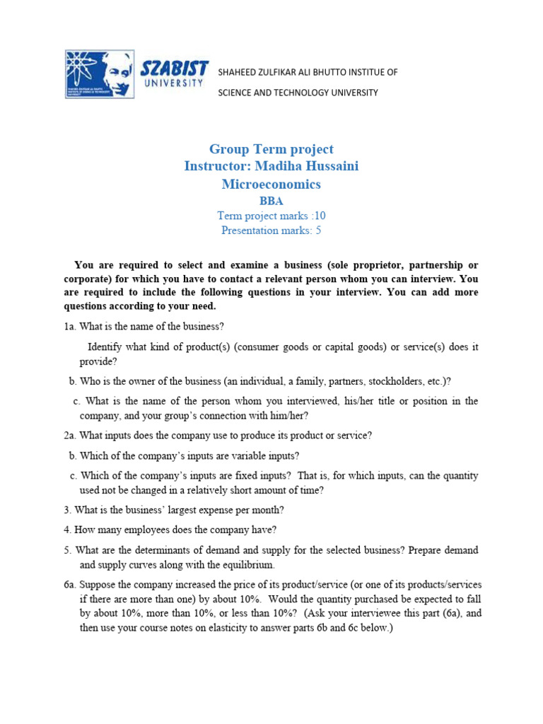 Microeconomics Business Analysis Project | PDF | Microeconomics | Demand