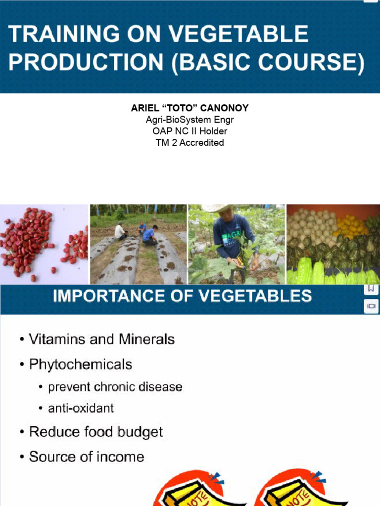 Vegetable Production Basic Course | PDF