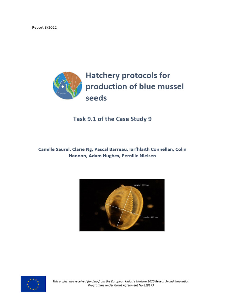 Hatchery Protocols For Production of Blue Mussel Seeds | PDF | Bivalvia ...