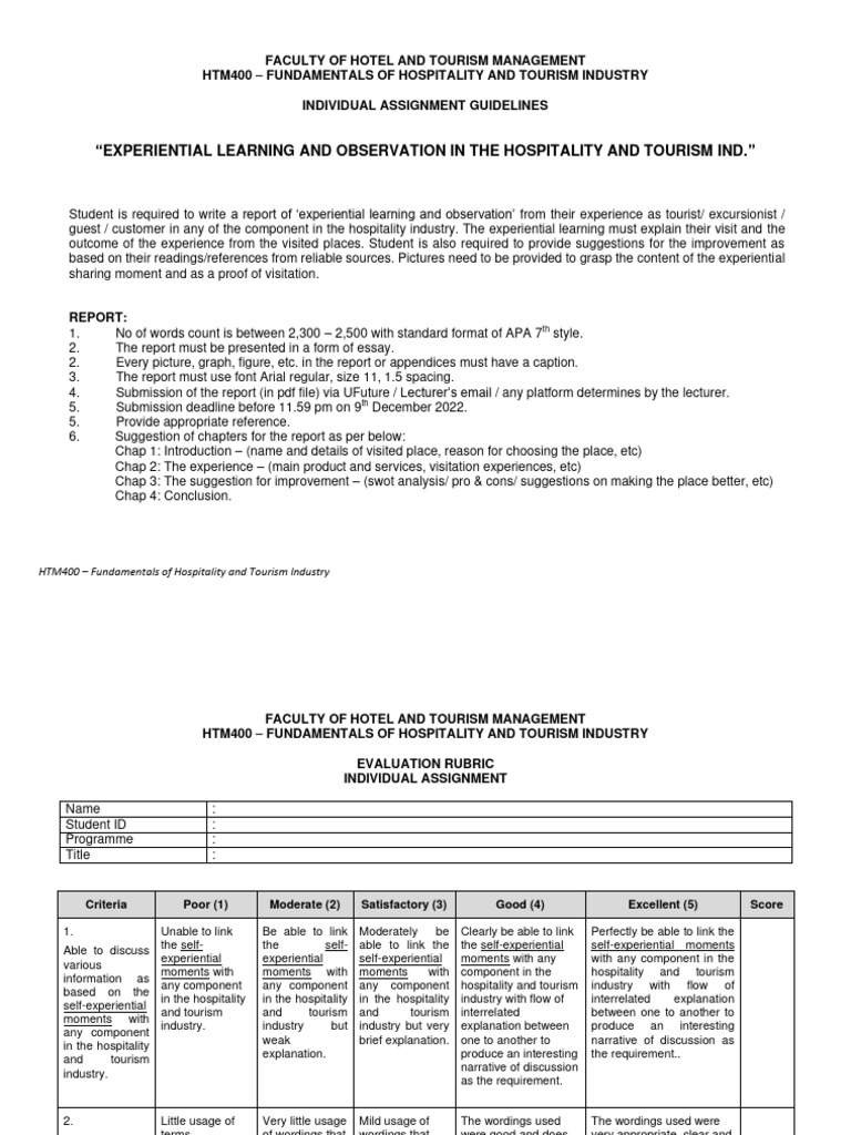 HTM400 - Guidelines and Rubric For Individual Assignment | PDF | Experience | Cognition