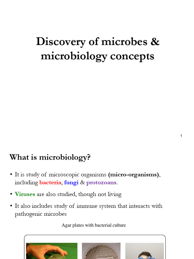 11jan2024 Discovery Of Microbes And Microbiology Concepts Pdf