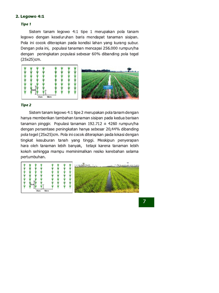 Buku Legowo FINAL rev 02 | PDF