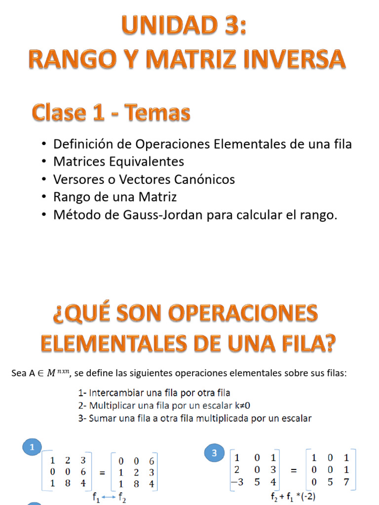 Rango e Inversa - Teoria-Practica-GB | PDF | Matriz (Matemáticas) | Álgebra