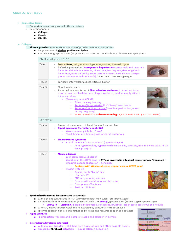CONNECTIVE TISSUE (Pathoma) | PDF | Collagen | Diseases And Disorders