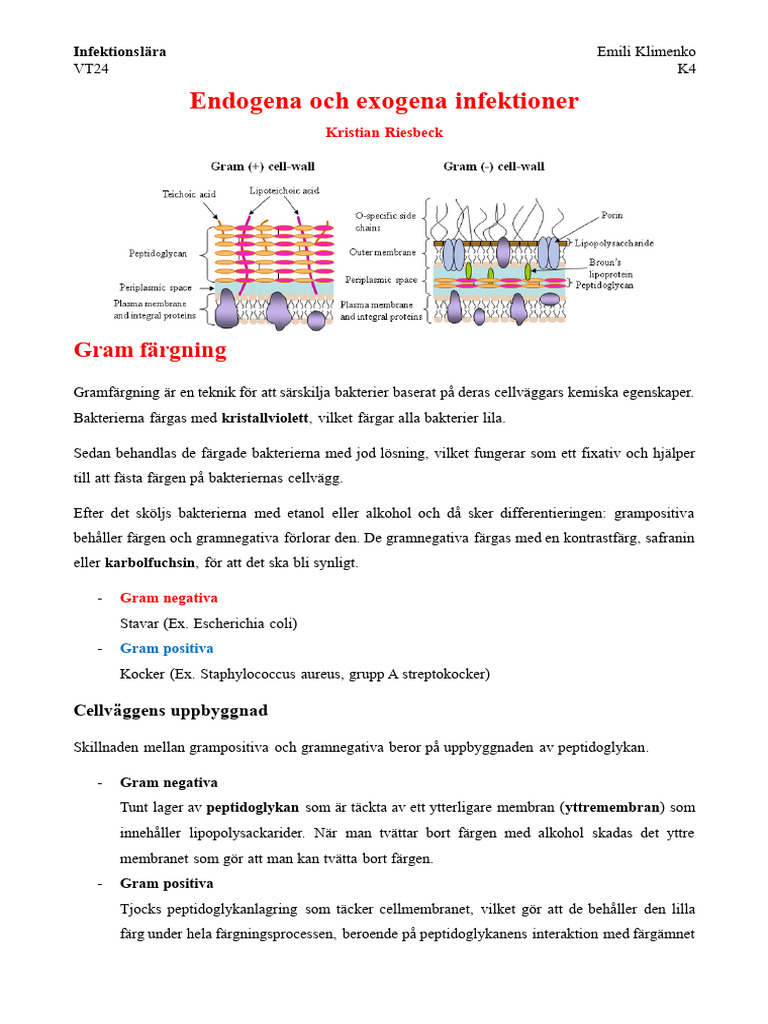 Endogena Och Exogena Infektioner | PDF