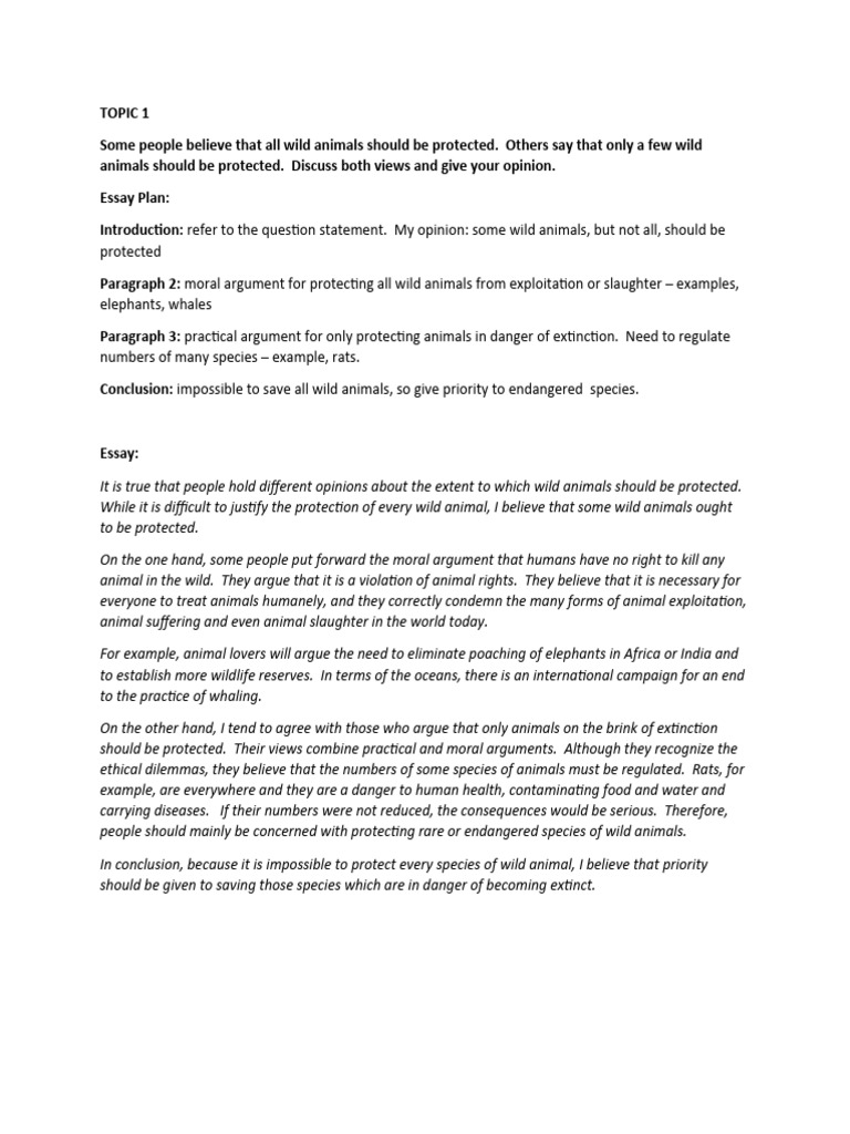 Unit 1 - Animals | PDF