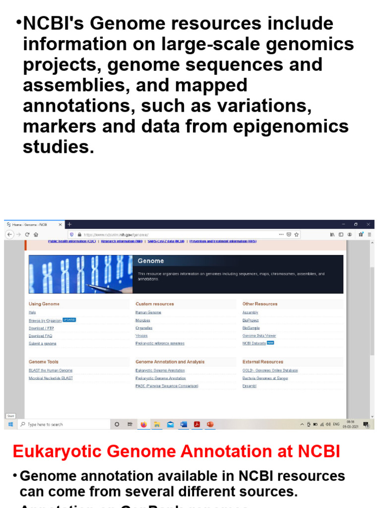 NCBI Genome | PDF | Genome | National Center For Biotechnology Information