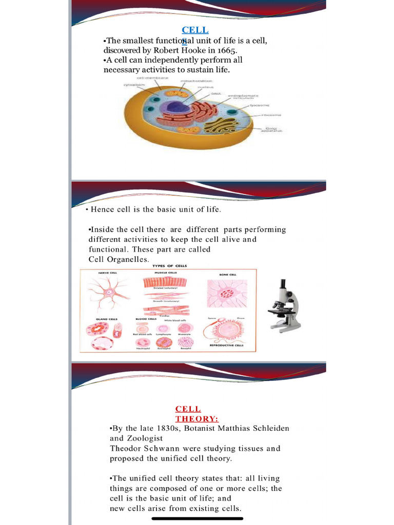 Cell Class 9 | PDF