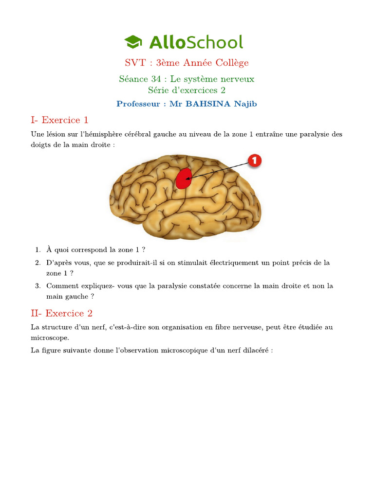 Seance 34 Le Systeme Nerveux Serie D Exercices 2 | PDF