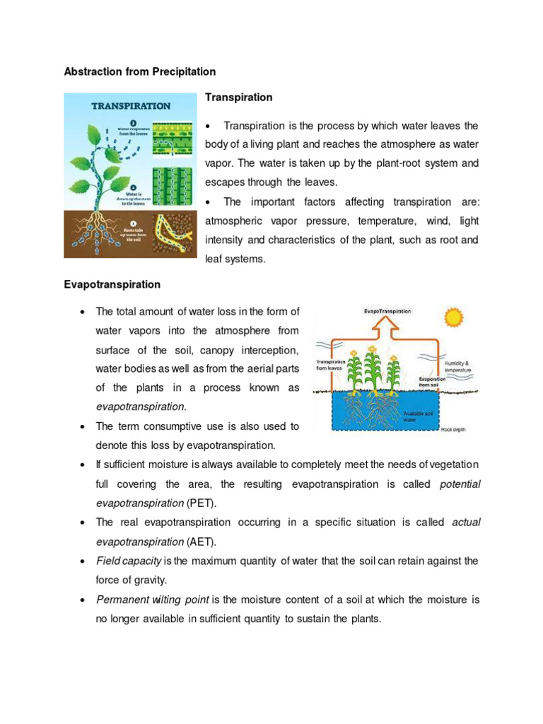 Understanding Transpiration and Evapotranspiration | PDF ...