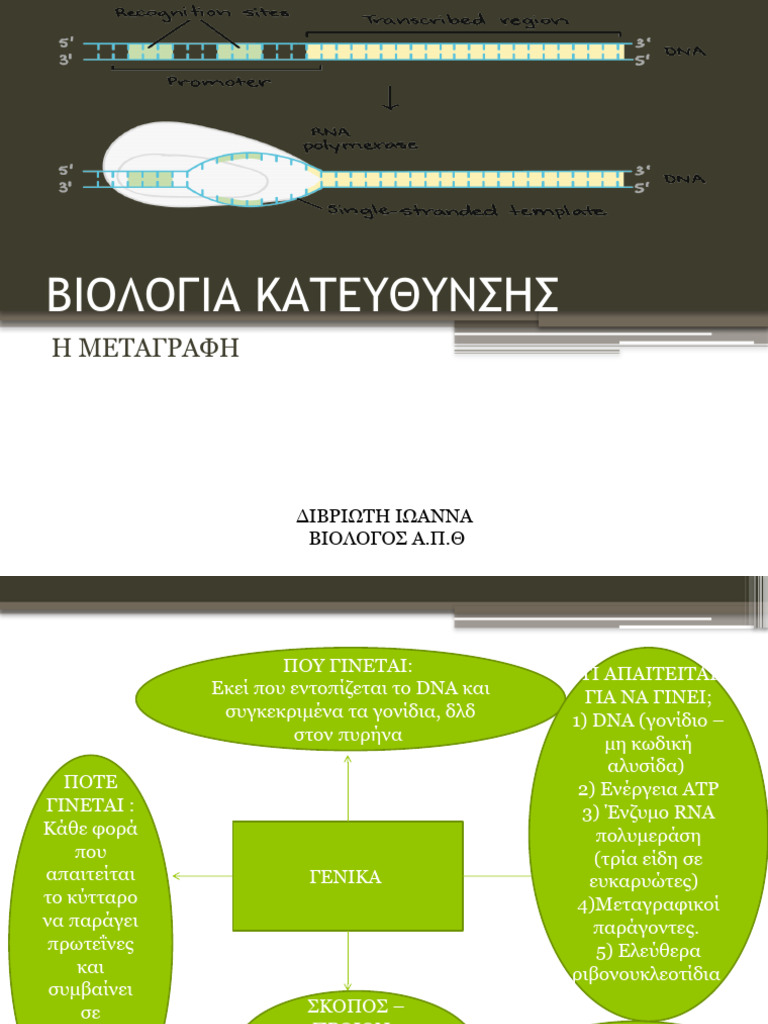 Μάθημα 3ο - Μεταγραφή | PDF