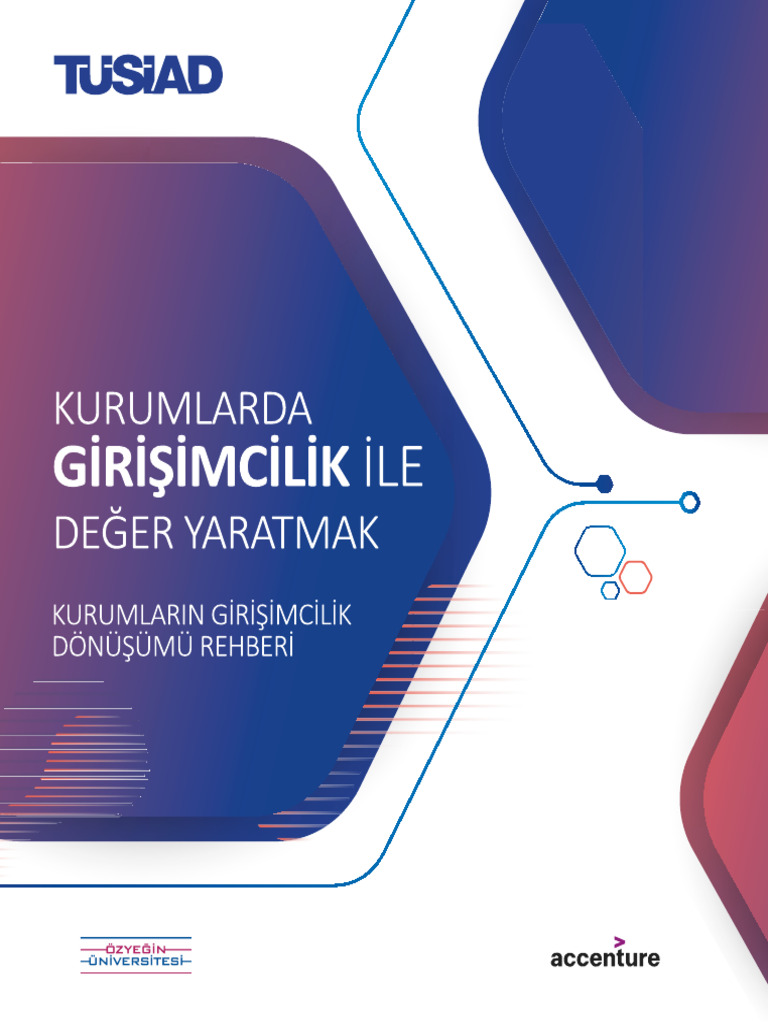 Tusiad Kurumlarin Girisimcilik Donusumu Rehberi | PDF