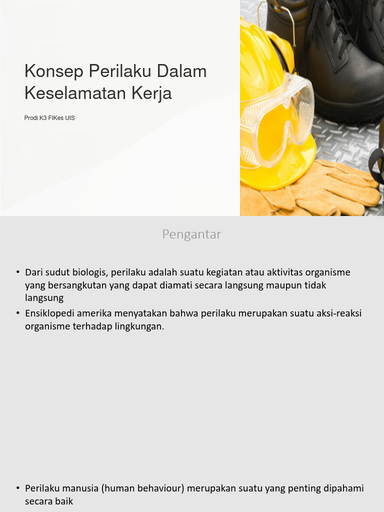 Konsep Perilaku Dalam K3 | PDF