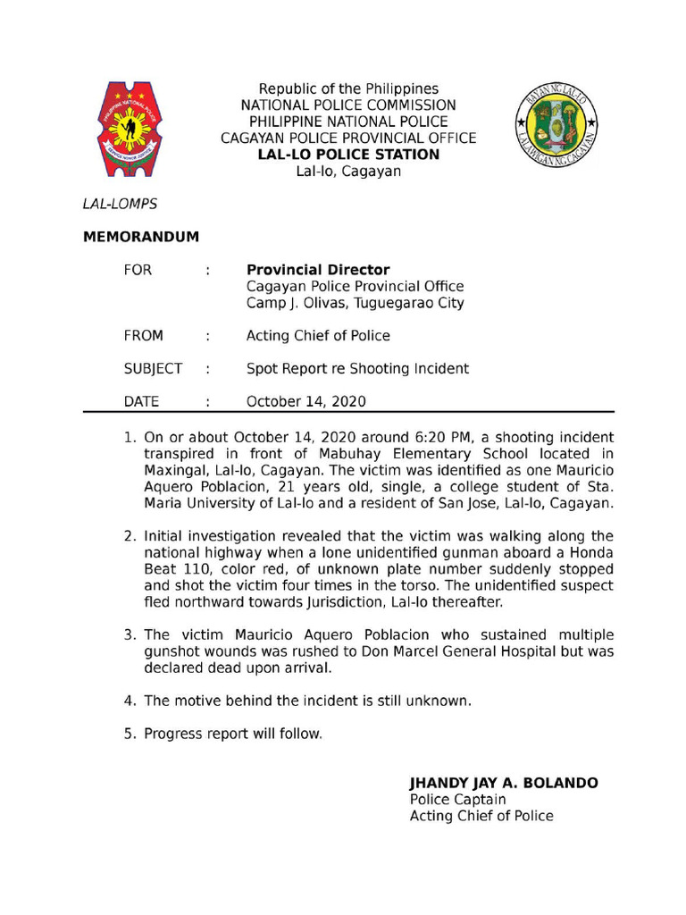Police Report | PDF