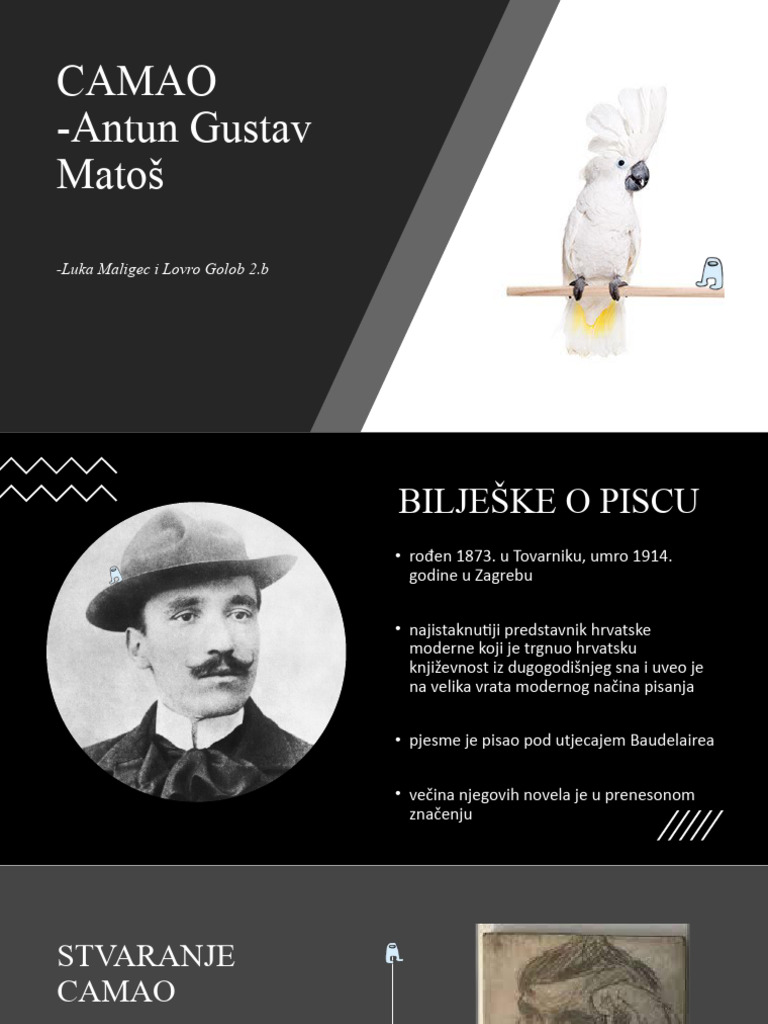 Camao 1 | PDF