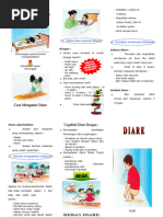 Leaflet Diare | PDF