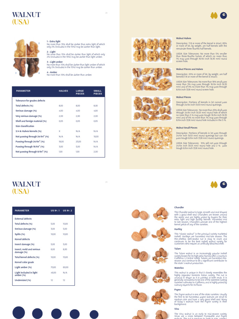 Brochure Walnut | PDF | Walnut | Edible Nuts And Seeds