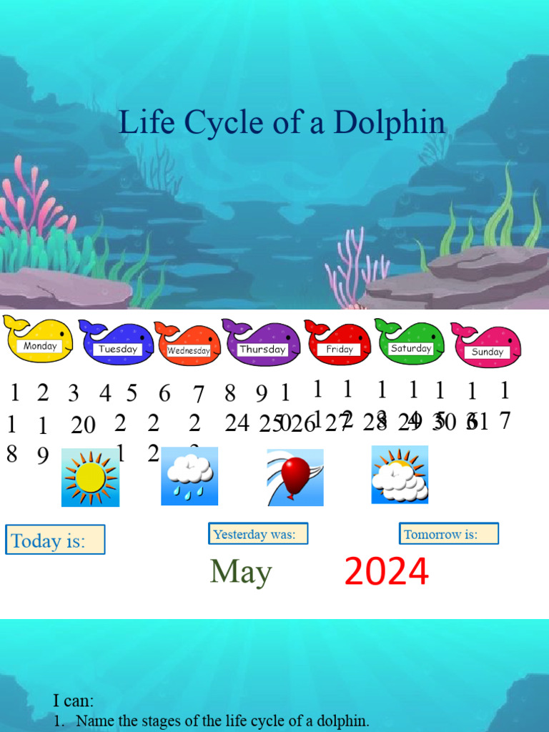 Dolphin Life Cycle | PDF | Mammals | Biology