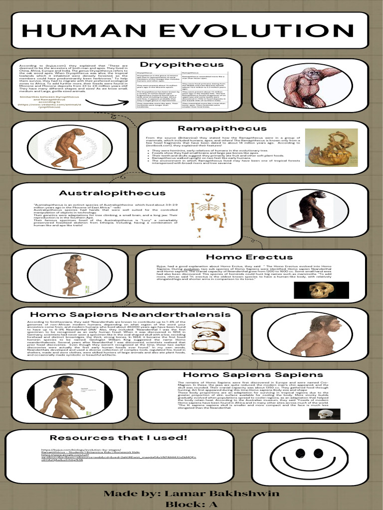 Yellow Modern History Timeline Infographic | PDF | Homo | Neanderthal