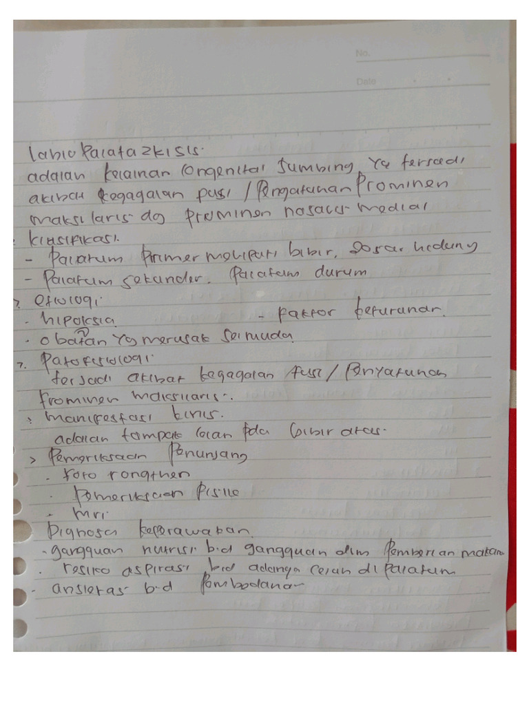 Ringkasan Angelia putri | PDF