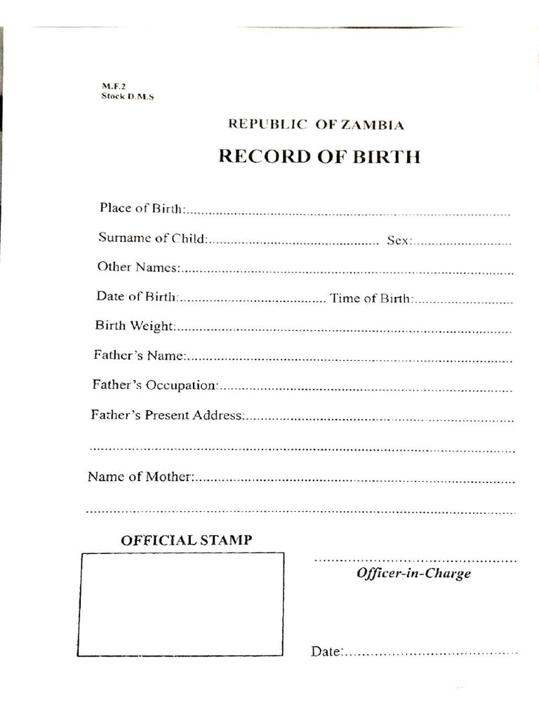 Birth Record | PDF