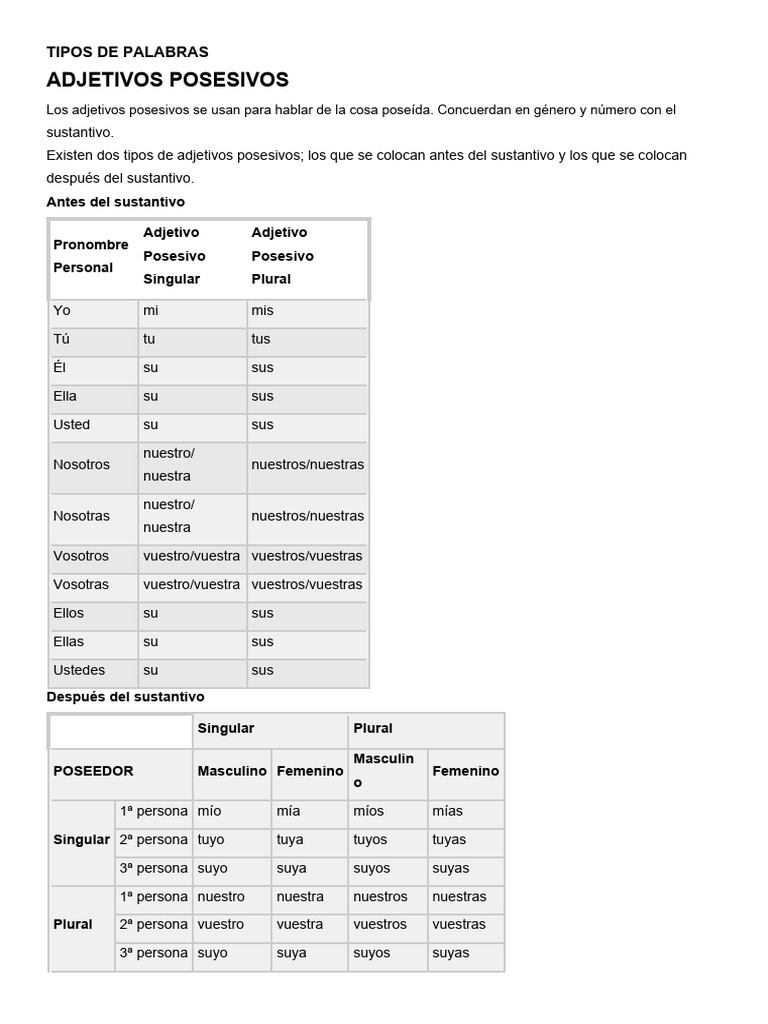 Tipos de Palabras | PDF | Adjetivo | Morfología Lingüística