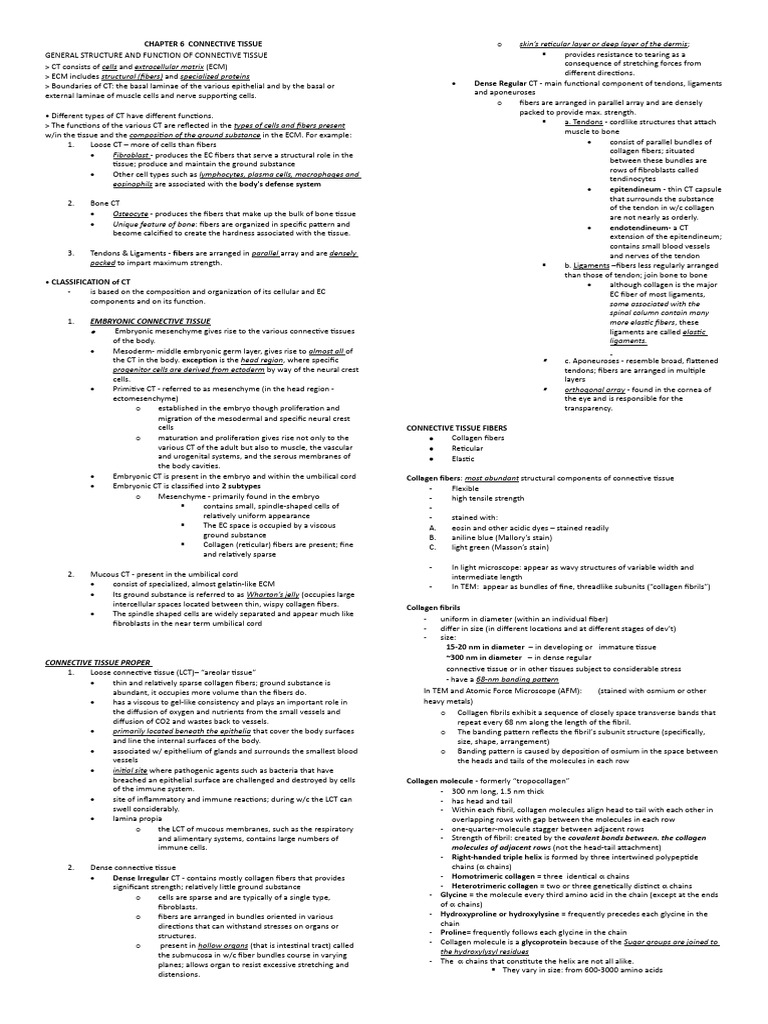Chapter 6 Connective Tissue | PDF | Connective Tissue | Collagen