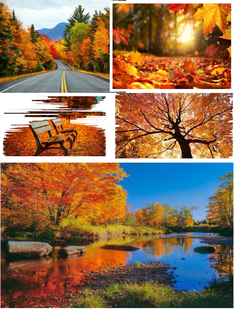 Tema Colaj Toamna | PDF