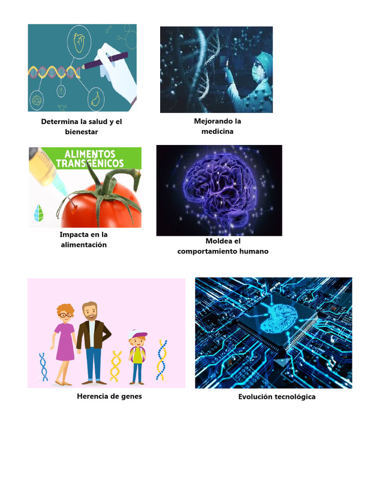 Collage Frag 1 | PDF
