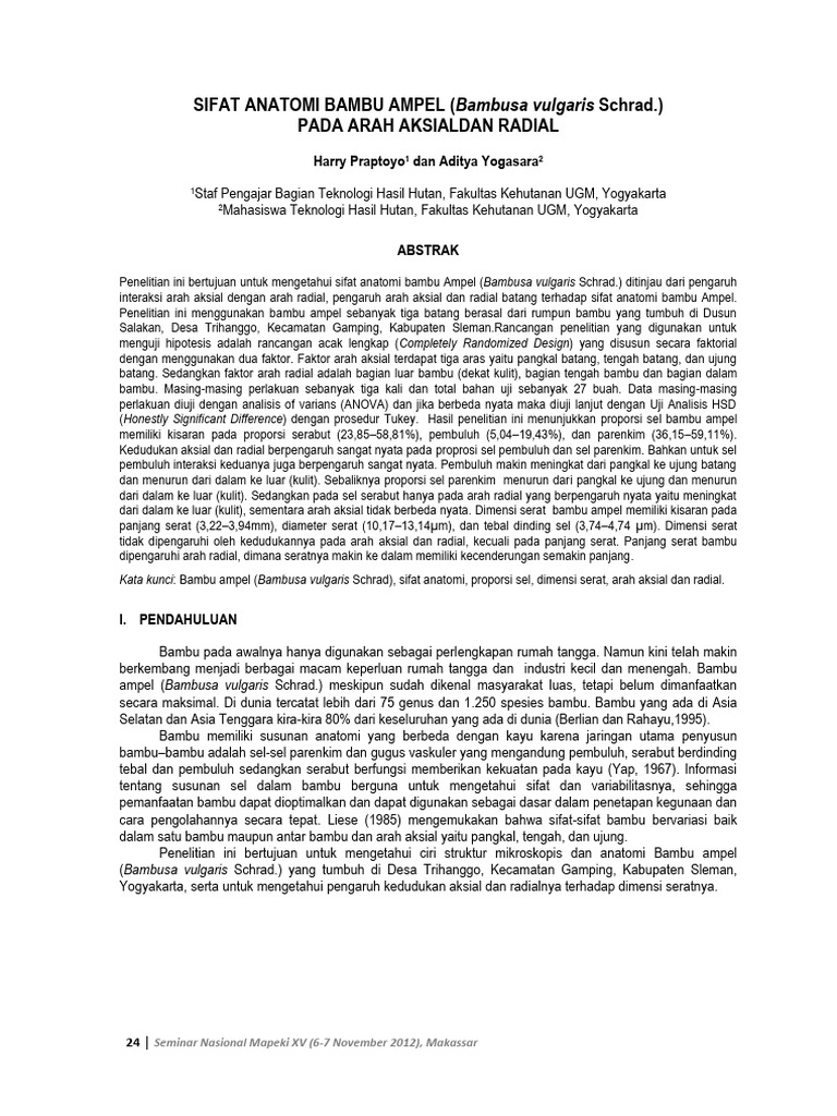 SIFAT ANATOMI BAMBU AMPEL Bambusa Vulgaris Schrad. - Harry Praptoyo - 1 ...