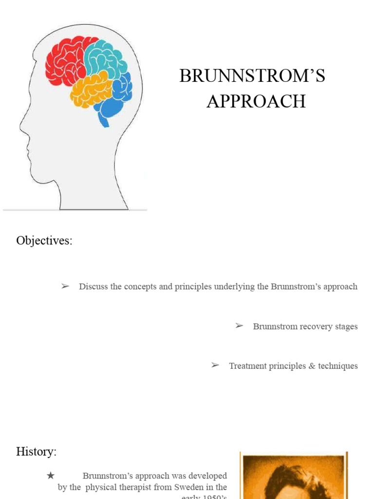 Brunnstrom's Approach | PDF | Anatomical Terms Of Motion | Anatomy