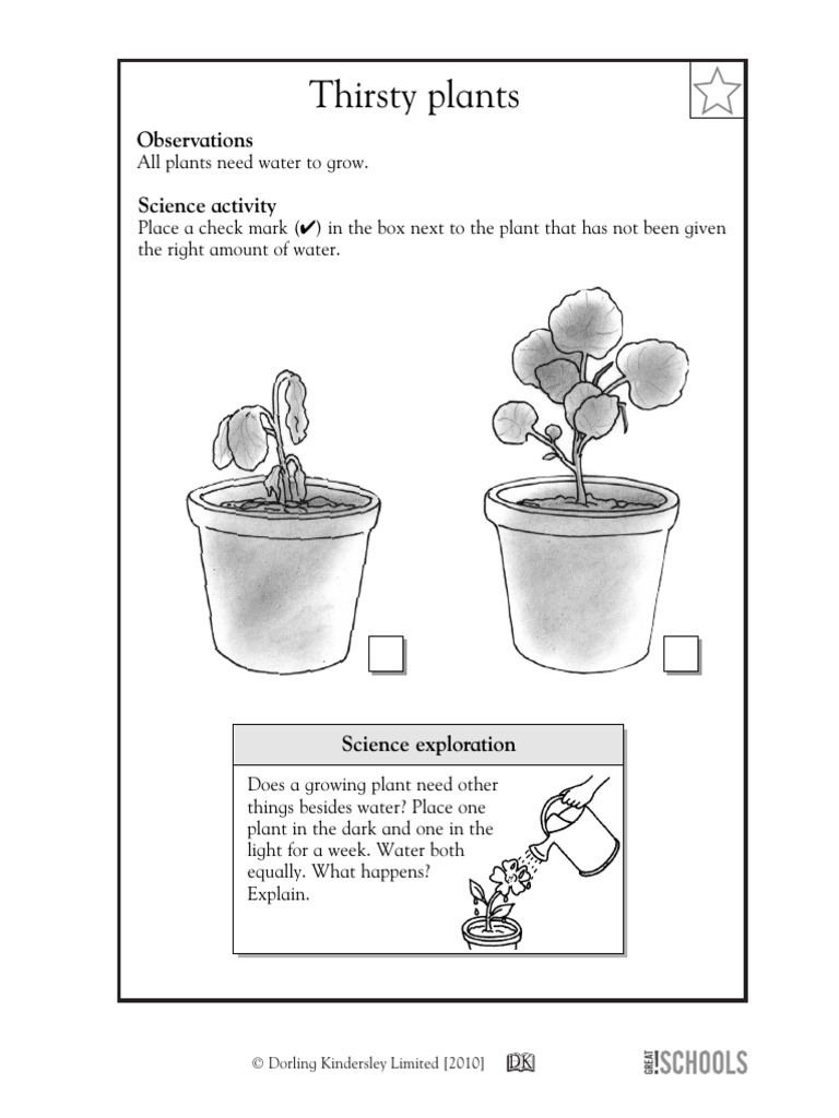 Kids' Plant Growth Experiment | PDF