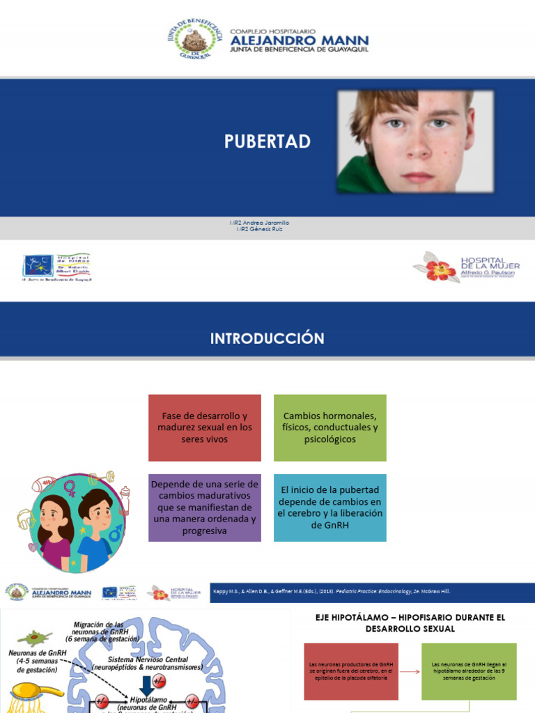 Cambios y Etapas de la Pubertad | PDF | Hormona luteinizante | Pubertad