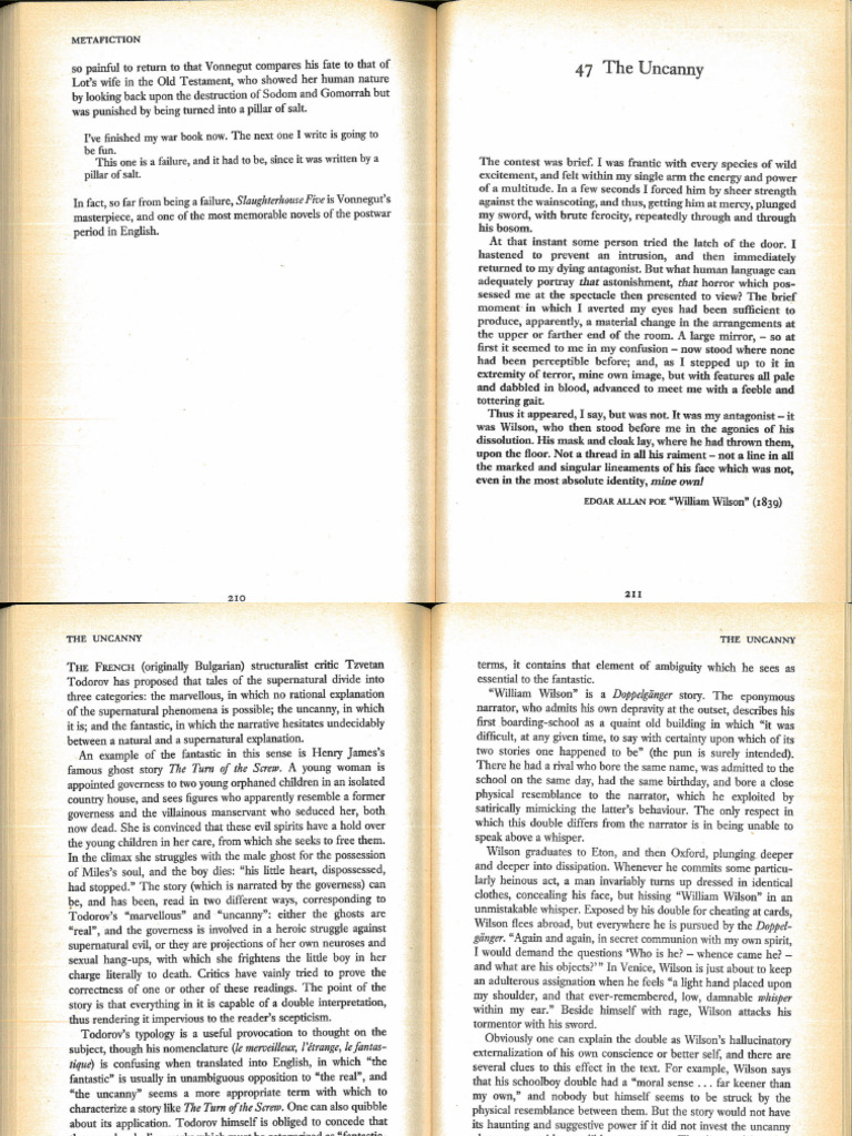 David Lodge, The Uncanny | PDF