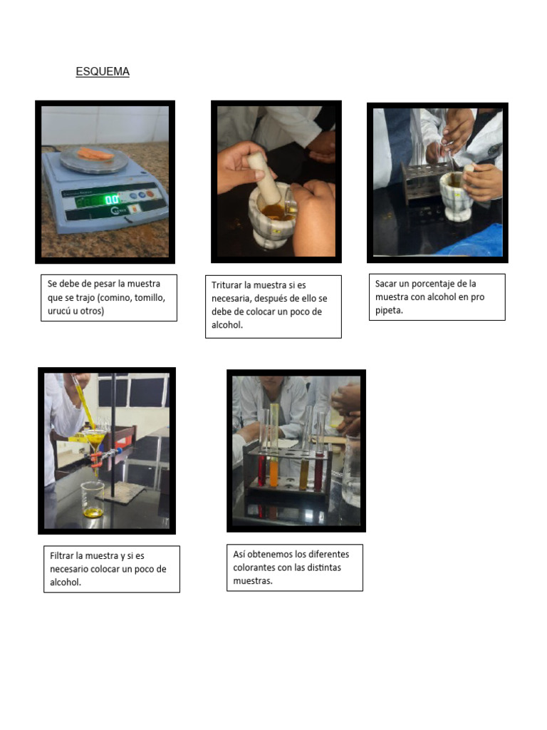 Labo 2 | PDF | Filtración | Química