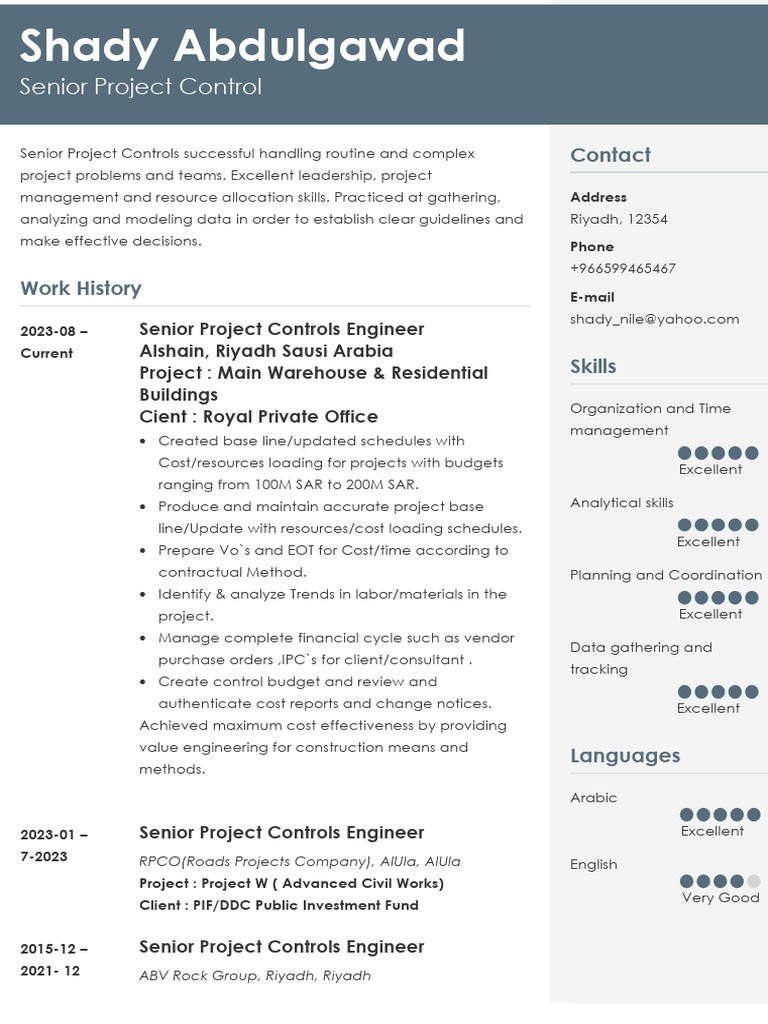 Shady - Abdulgawad - Resume 3-24 | PDF | Riyadh | Business