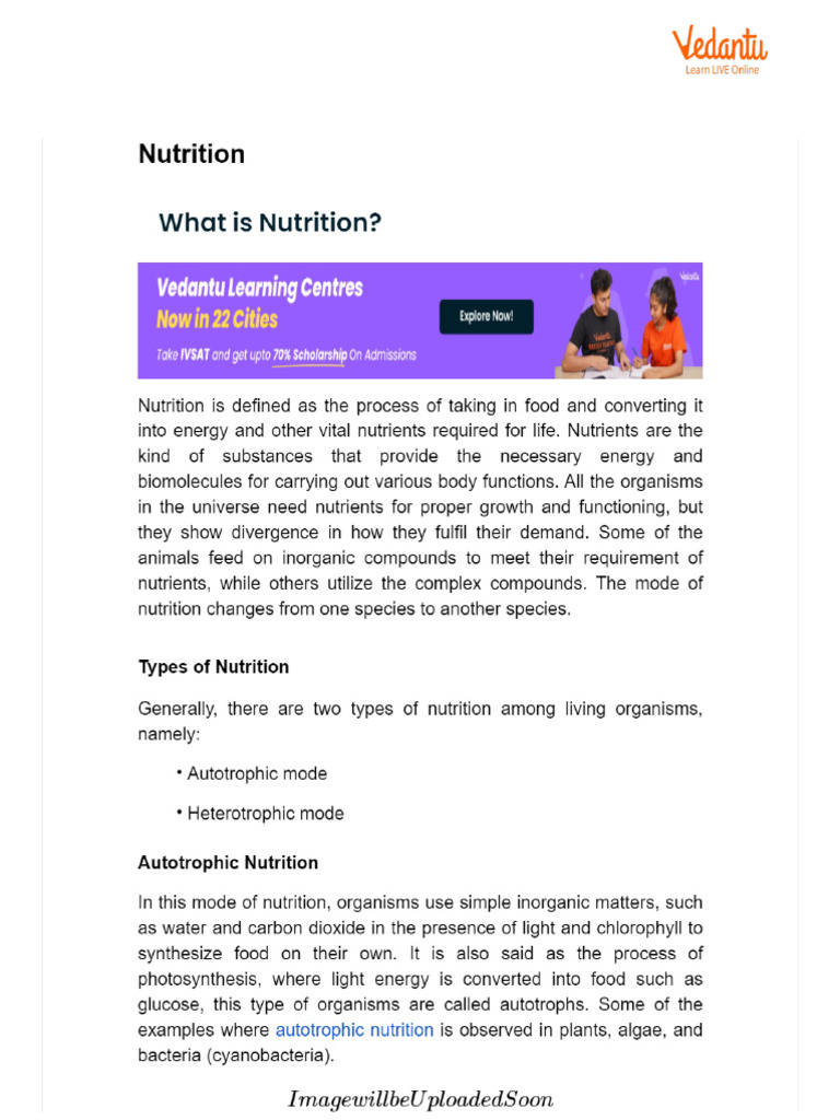 Nutrition | PDF